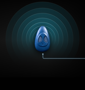 Panic Keyfobs – RISCO