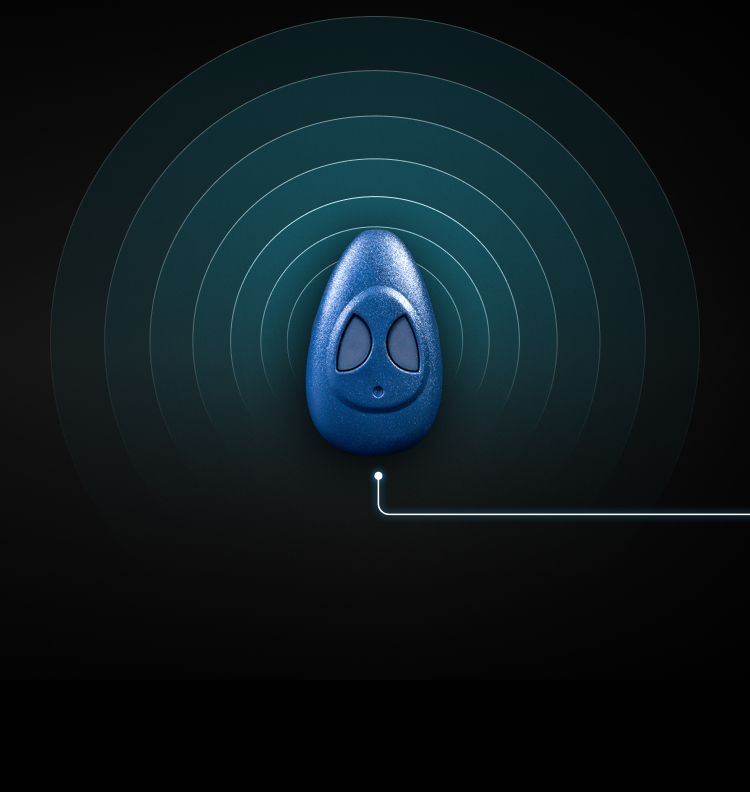 Panic Keyfobs – RISCO