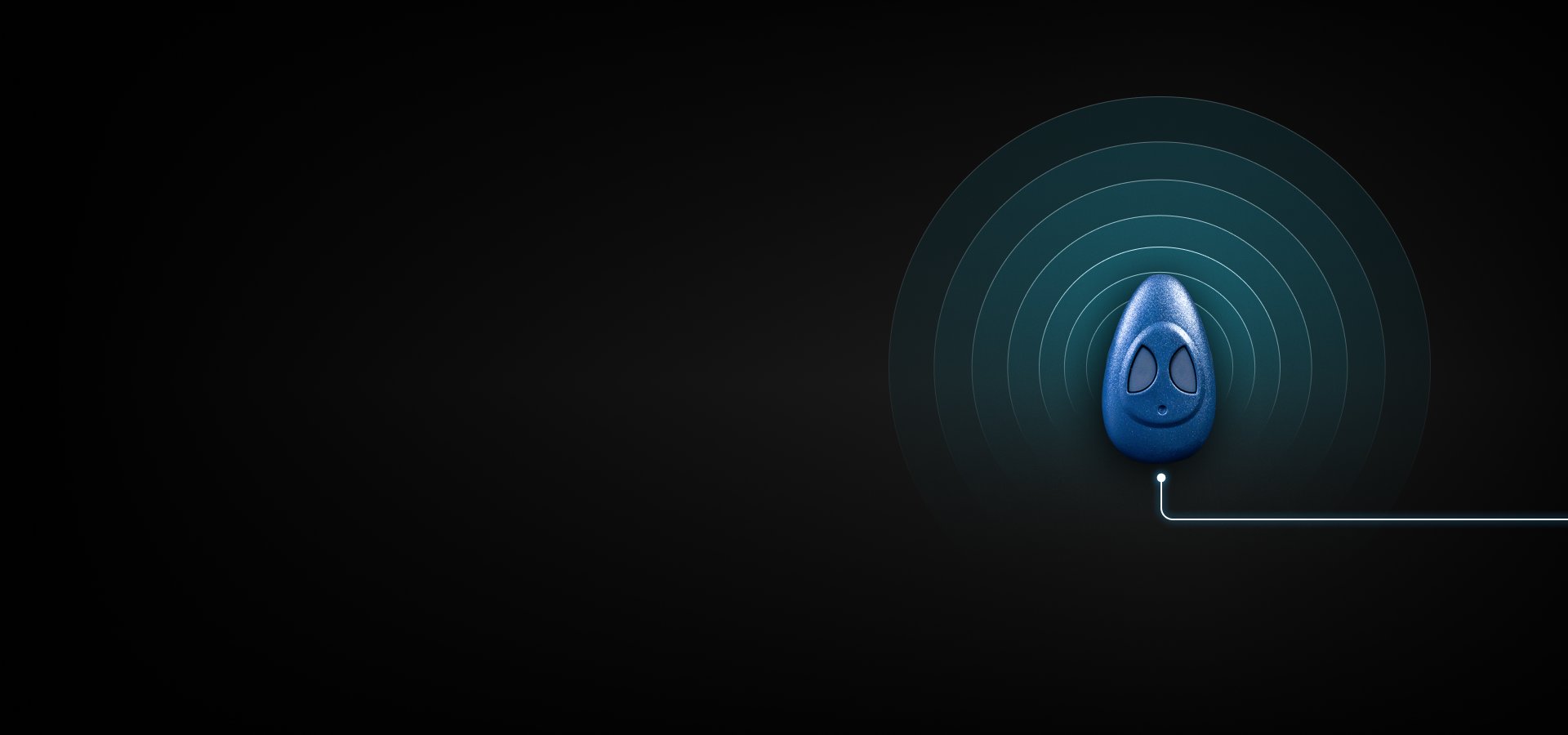 Panic Keyfobs – RISCO