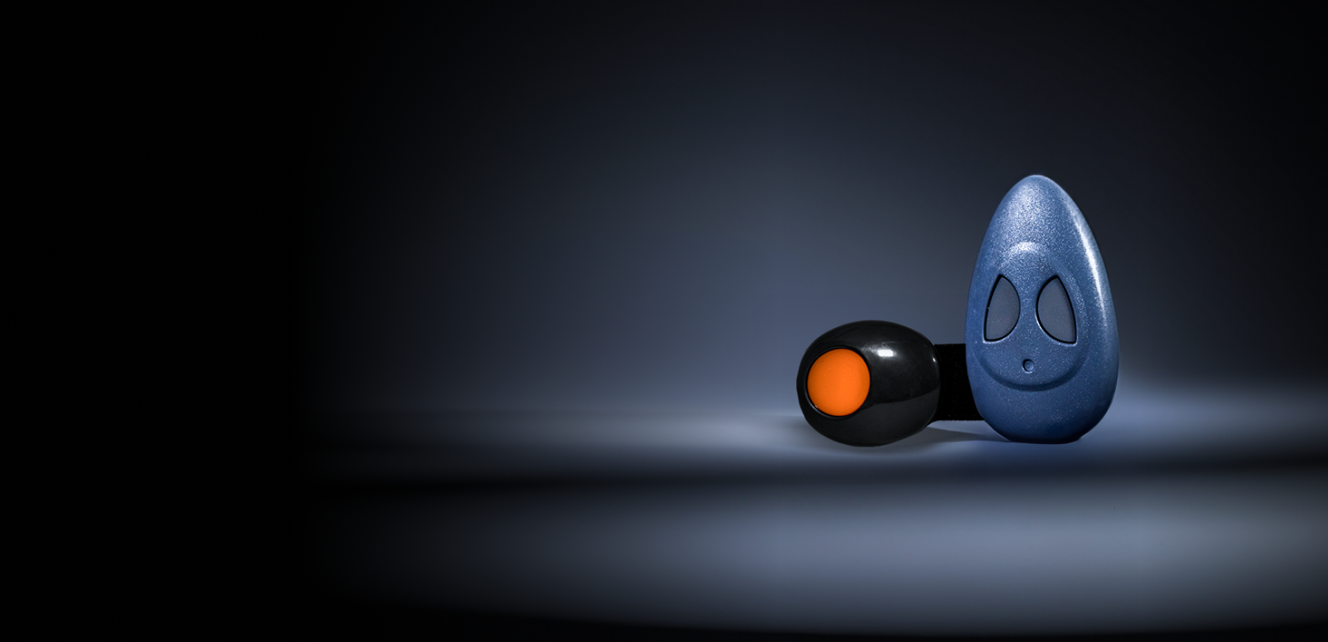 Panic Keyfobs – RISCO