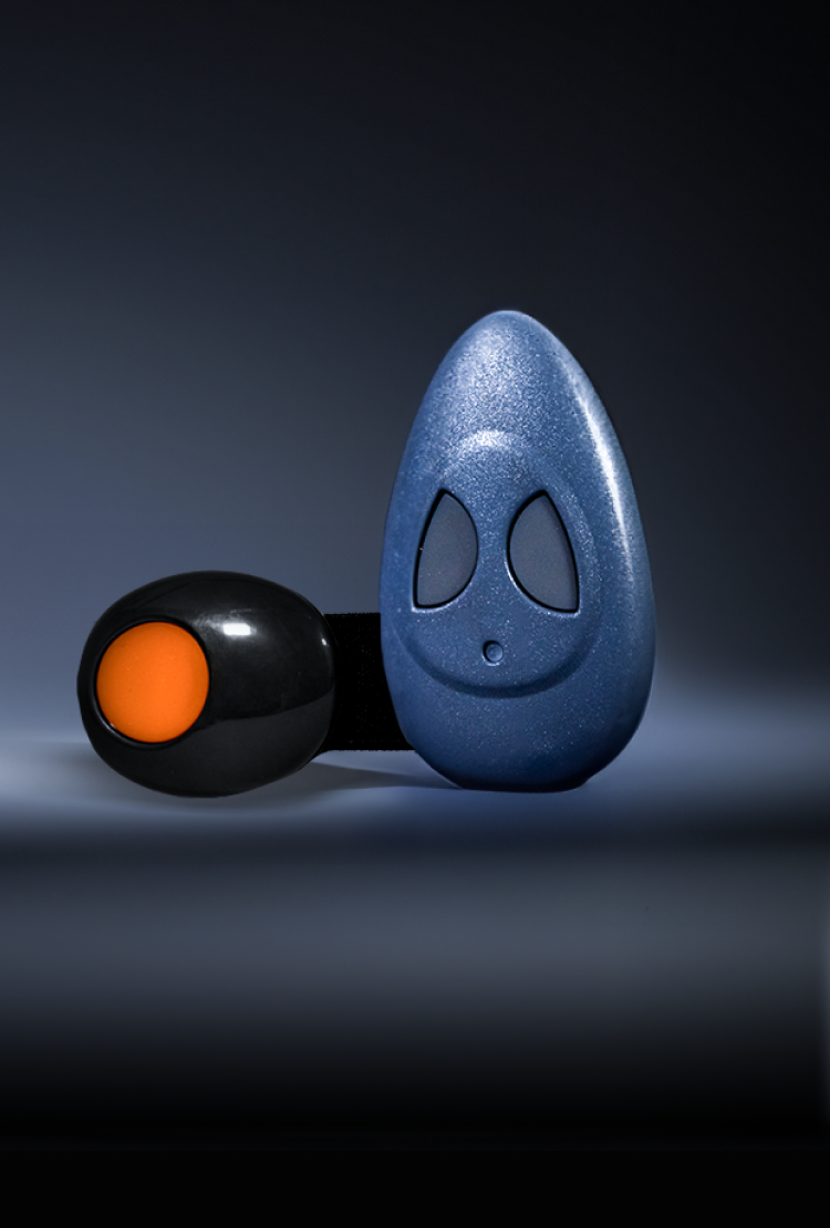 Panic Keyfobs – RISCO