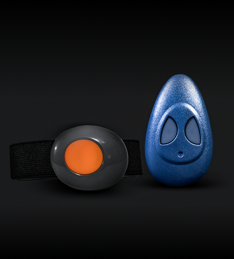 Panic Keyfobs – RISCO