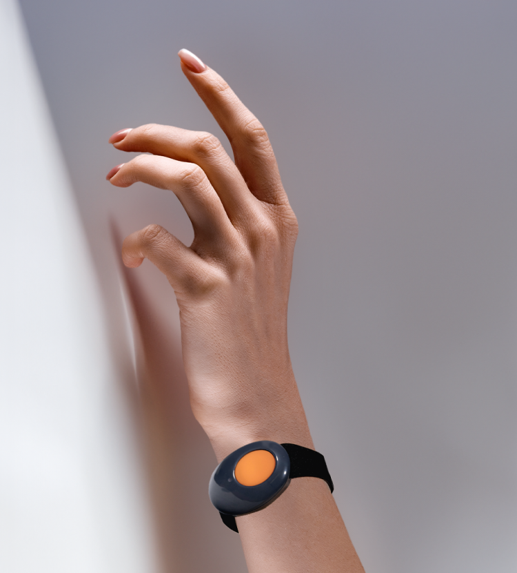 Panic Keyfobs – RISCO