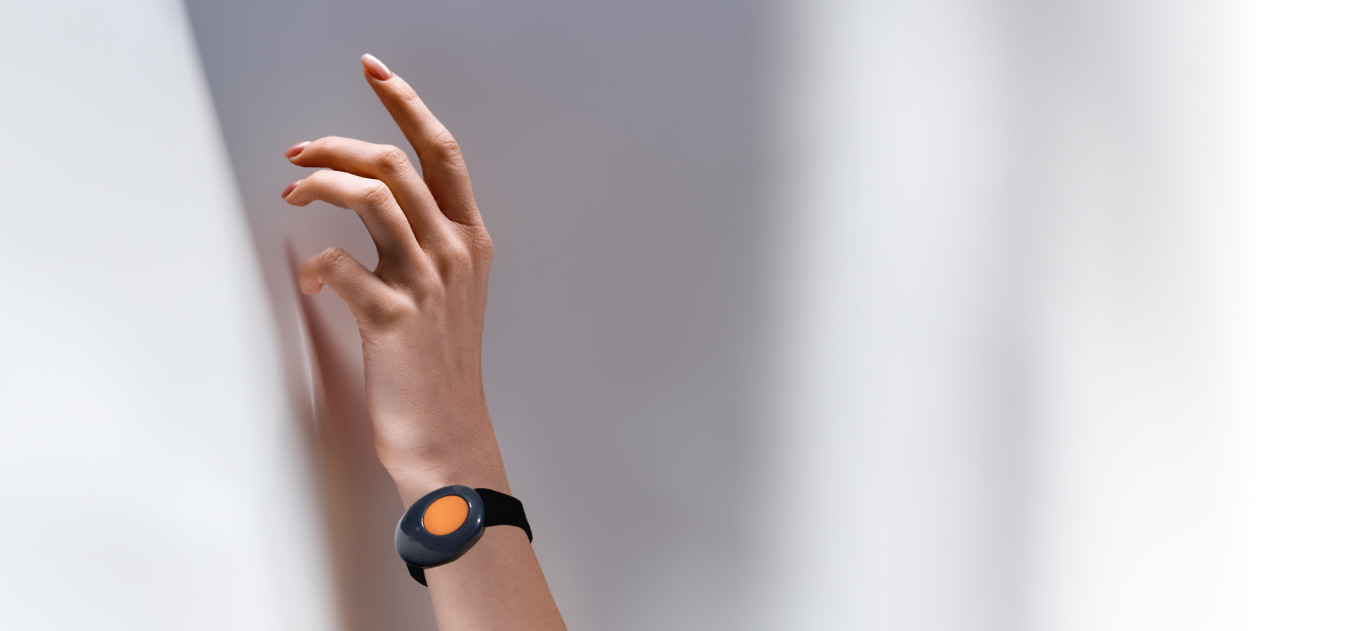 Panic Keyfobs – RISCO